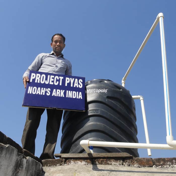 Project Pyas | A social project by Noah's Ark International Exports